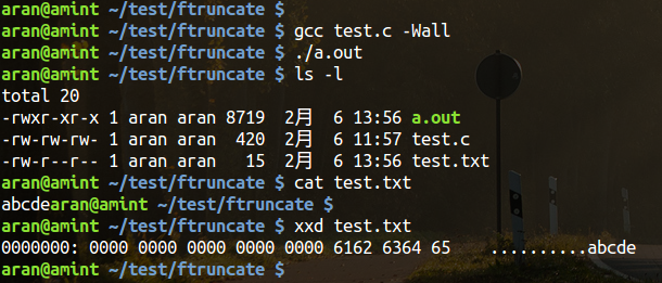 Linux C ftruncate函数清空文件注意事项_要使用lseek重置偏移量 | yilan